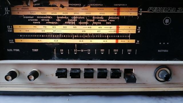 VID_20230305_record311_ukv