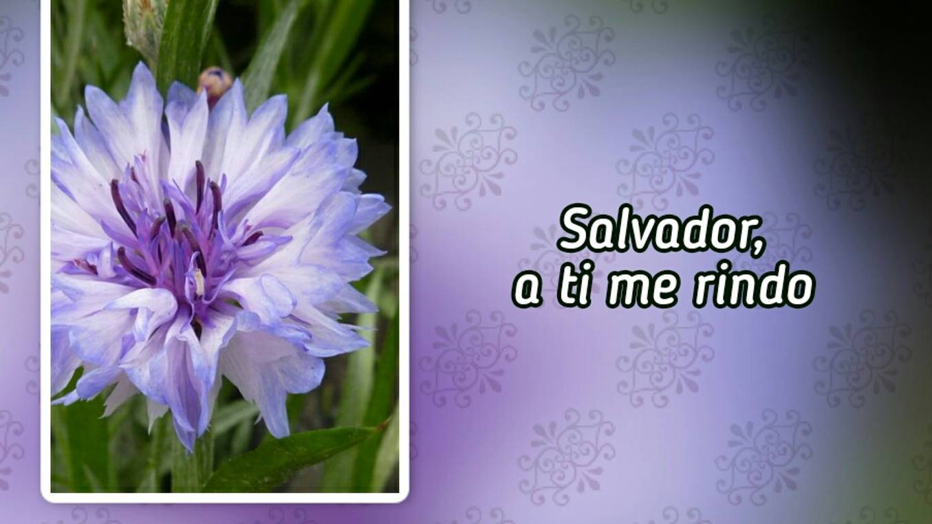 Himnario adventista 261 Salvador, a ti me rindo (-)