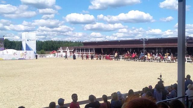 Кто такие рейтары