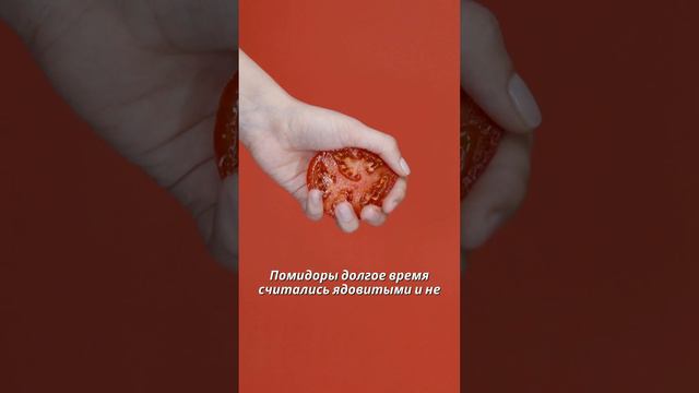Факт про помидор 🍅