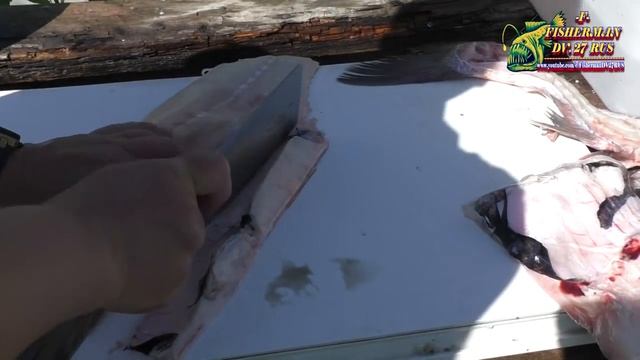 Толстолобик, как разделать его на филе без костей,.