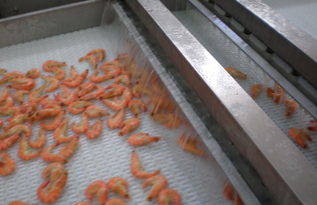 Глазирование креветок