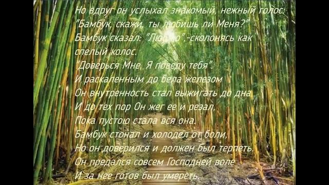 Бамбук. Автор Вера Кушнир. Читает Голубева Екатерина.(ред).mp4