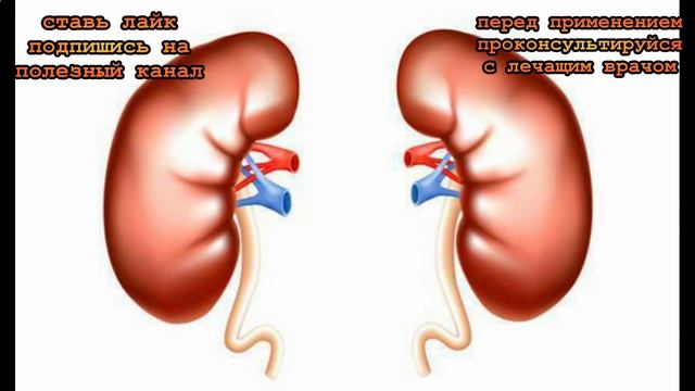 Древняя китайская методика для оздоровления почек