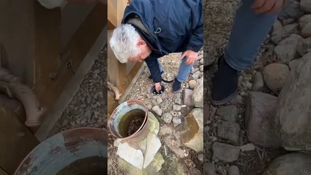 VID_20221223_225412_260.mp4