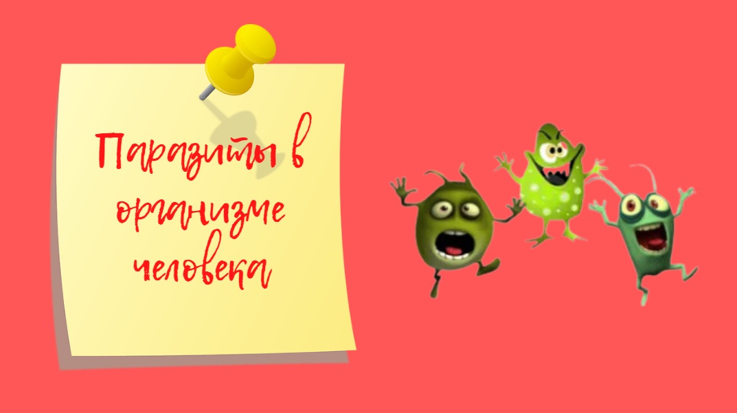 Очищение организма |  Паразиты в организме человека