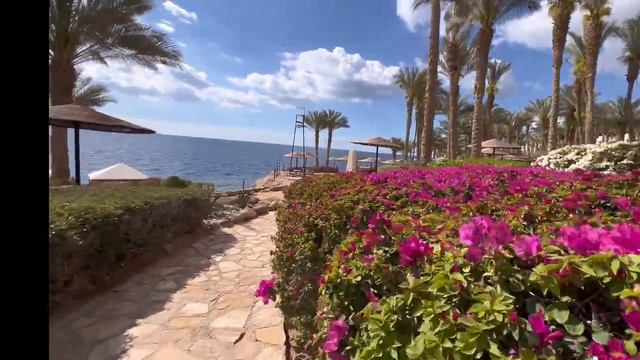 Египет март 23 первая серия