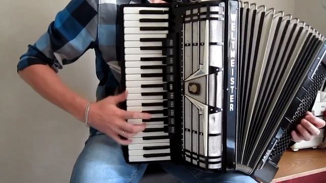 Виновата ли я на аккордеоне - Аккордеонист Баянист