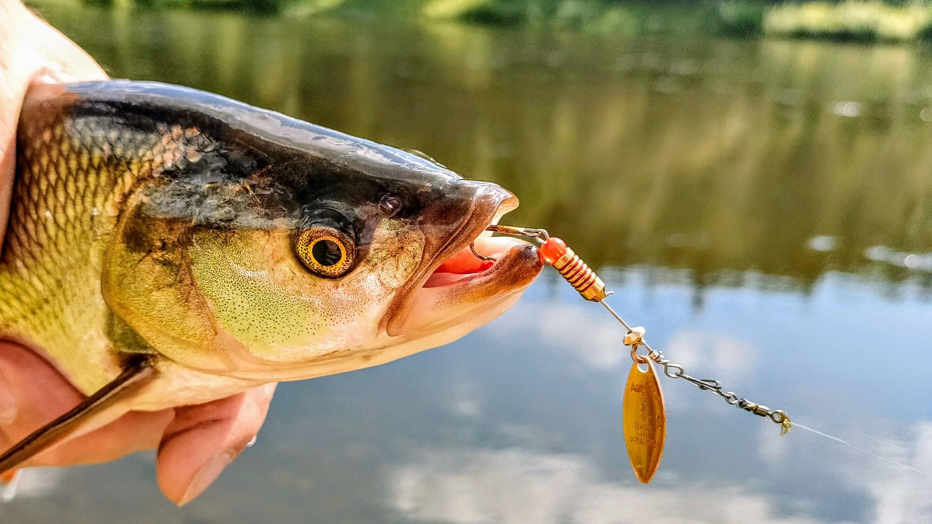 Один 4 дня по живописной реке Чусовая с рыбалкой.