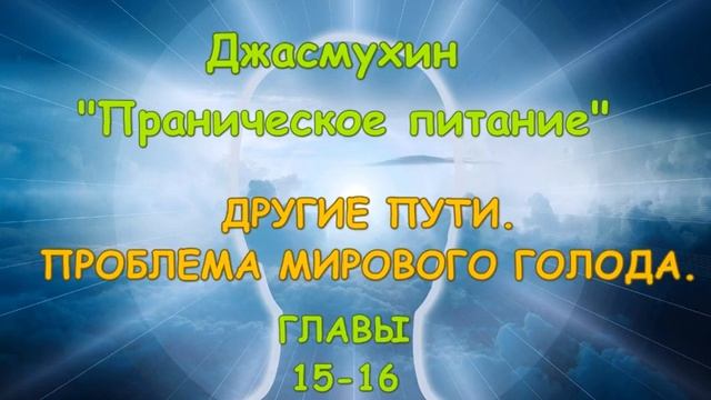 Джасмухин — Праническое Питание. Главы 15-16. Другие Пути. Проблема голода.(озвучка YevGenius Voice)