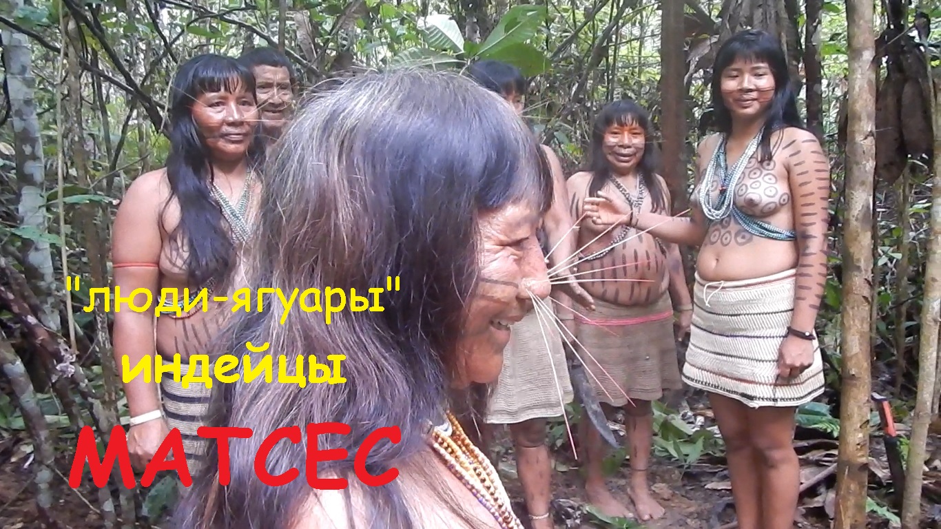 Часть 2/1 Этно- экспедиция в верховья реки Жавари, к "людям-ягуарам", – индейцам Матсес.