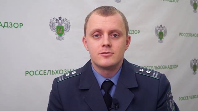 10 ответов о том, как работать во ФГИС "Меркурий"