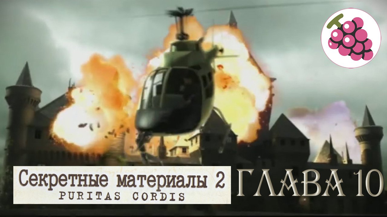 Puritas Cordis.10.  Франция.  Синие кубы.