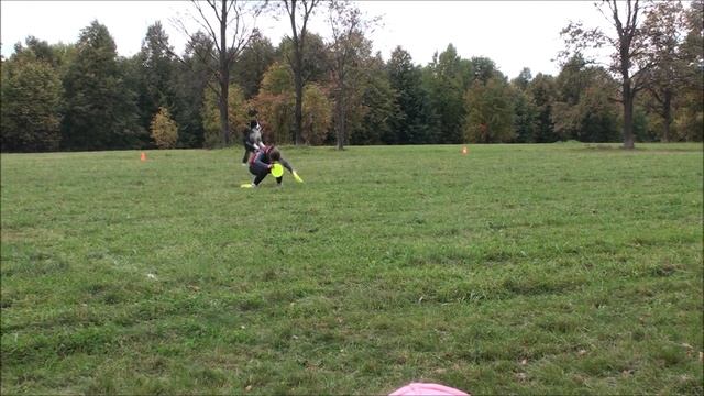 USDDN WF QUALIFIER Маргарита и Иви R3.mp4