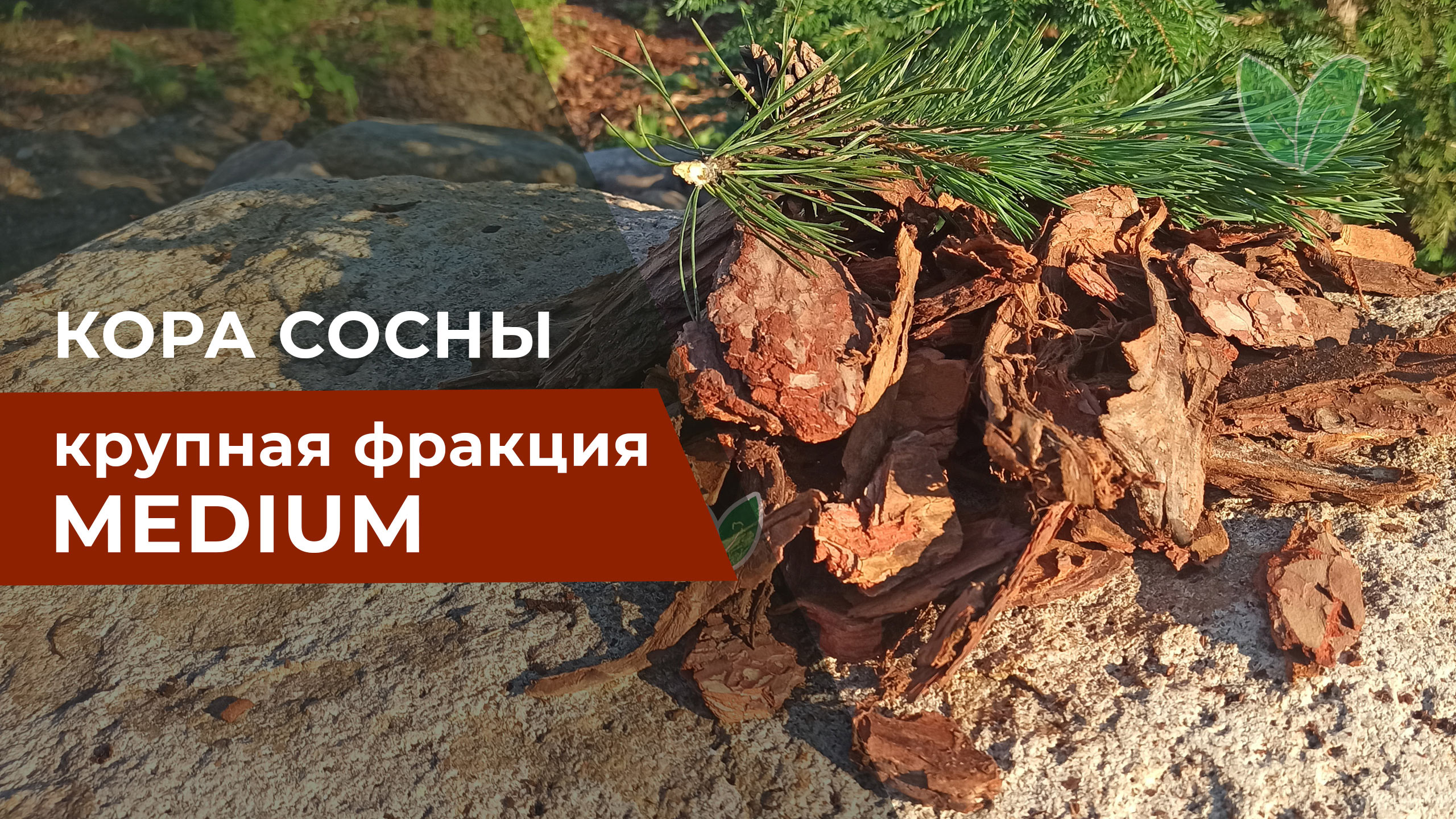Кора сосны крупной фракции качество медиум