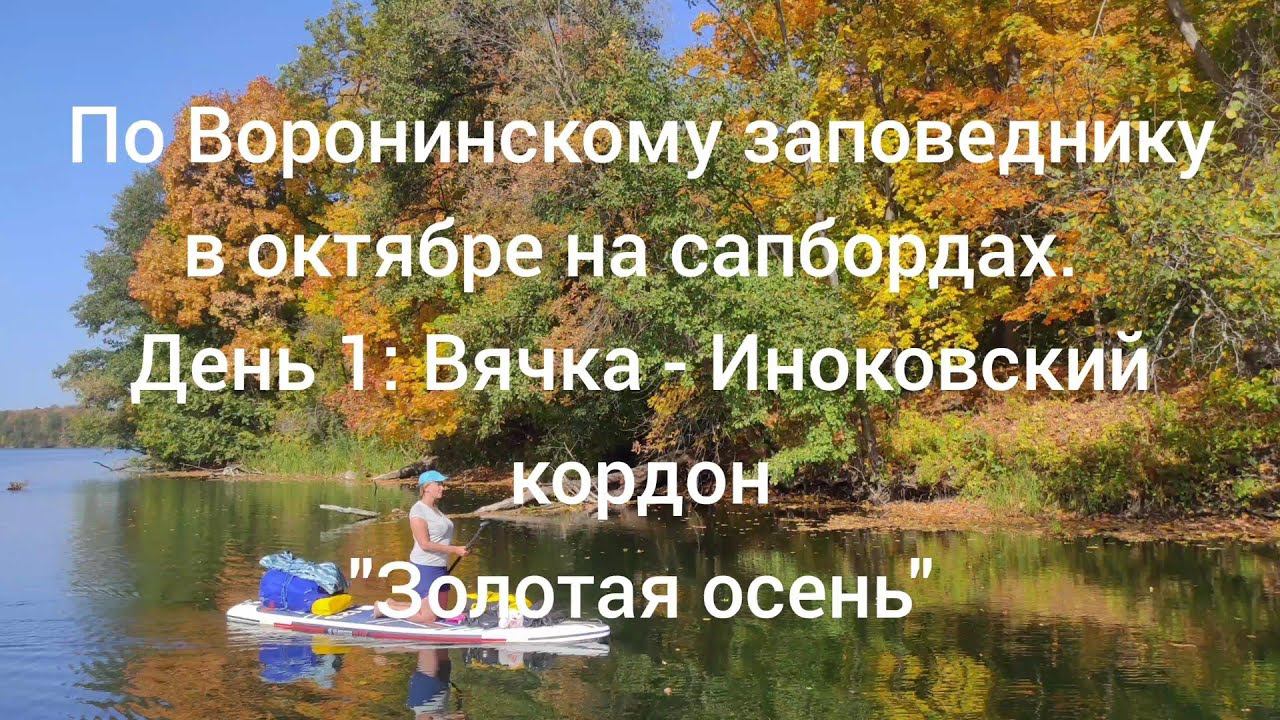 На сапбордах в октябре по Воронинскому заповеднику. День 1: Вячка - Иноковский кордон. Золотая осень
