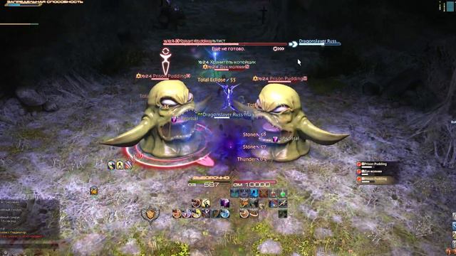 В звериную пасть. 2024-02-25 #22(Д)