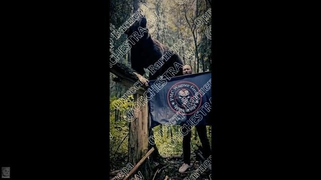 ЧВК Вагнер - это русский медведь