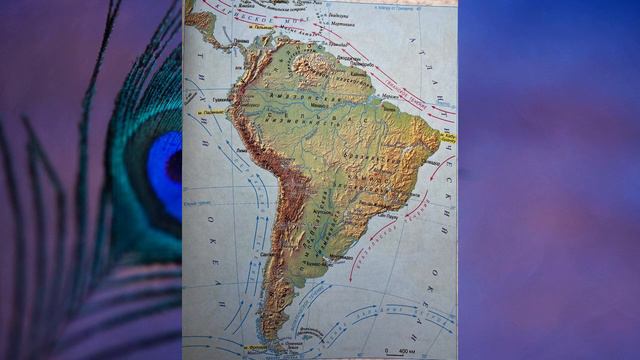 §36 "Южная Америка: образ материка" (1), География 7 класс, Полярная звезда