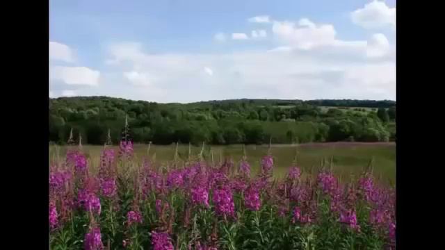 Рена Грачева - Ан кай кайак