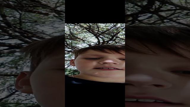 гуляю с друзьями