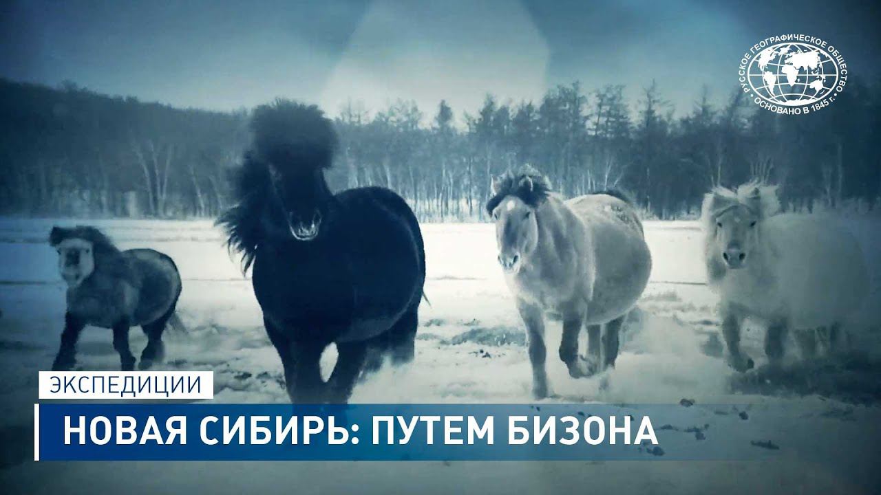 Новая Сибирь: путем бизона