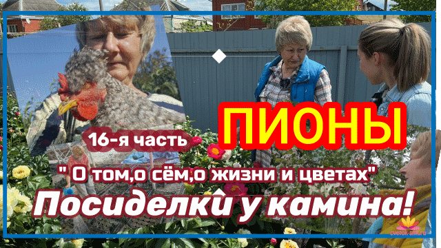 Посиделки у камина. Часть 16. О жизни и цветах / Сад Ворошиловой