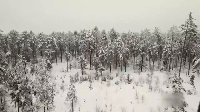 ДЮЦ «Юность» – музыкальная новогодняя открытка