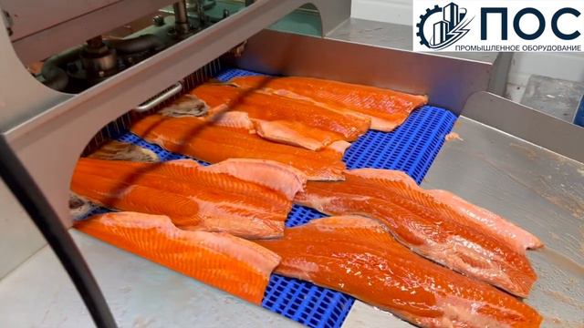 Промышленный автоматический инъектор с тонкими иглами для посола красной и белой рыбы CHAMCO