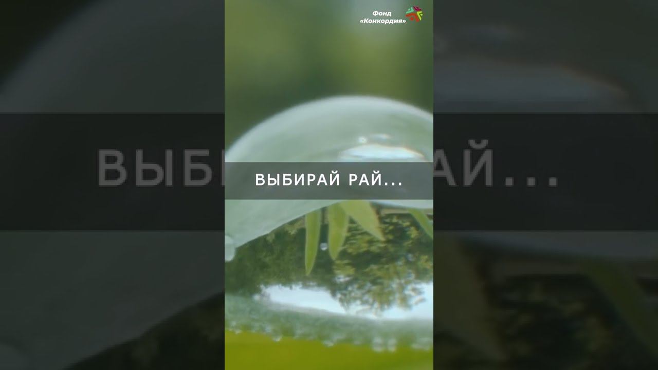 Где ты будешь вечность проводить? Часть 15 #shorts