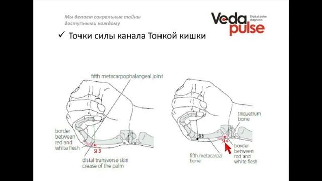Канал Тонкой кишки, диагностика и методы воздействия