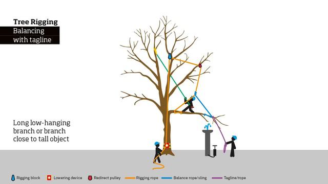 Как правильно устанавливать верёвки и оборудование для удаления веток и деревьев