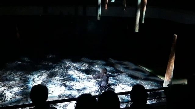 Сергей Полунин в роли Вудсмана на премьере балета "Красная Шапочка" в концертном зале "Зарядье" 29.1