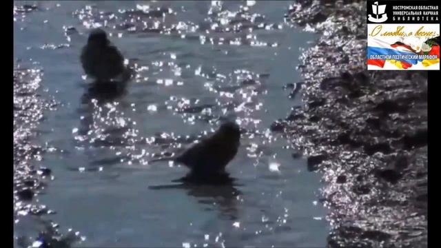 «Frühlings Ankunft» (August Heinrich von Fallersleben)..mp4