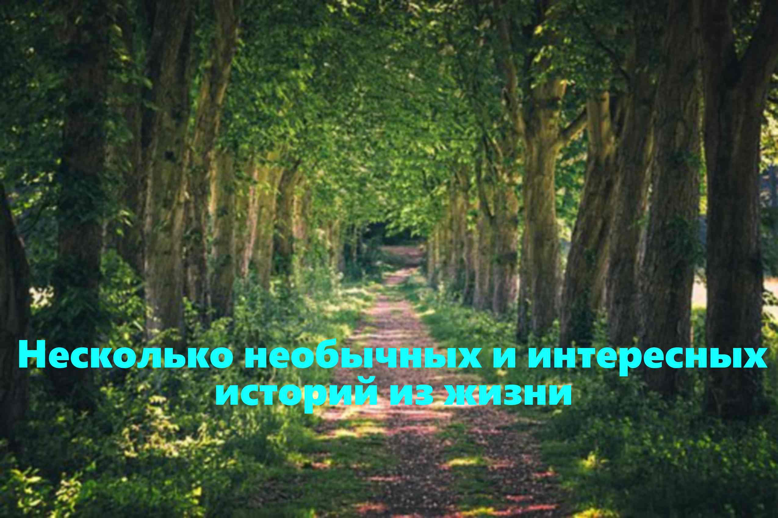 Несколько нобычных и интересных историй из жизни. Аудио рассказы.