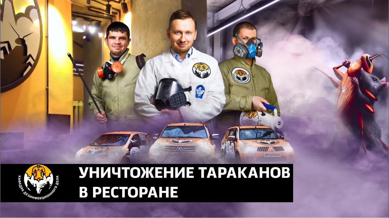 Уничтожение тараканов в ресторане