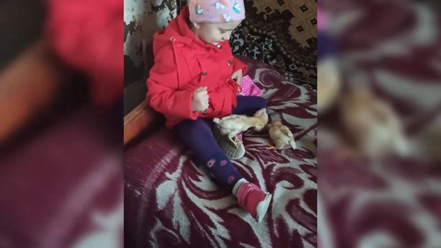 VLOG. Саша и собачки😍😍😍🐶🐶🐶 Любимые животные))Happy puppy))video about animals