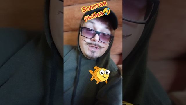 Золотая рыбка ?