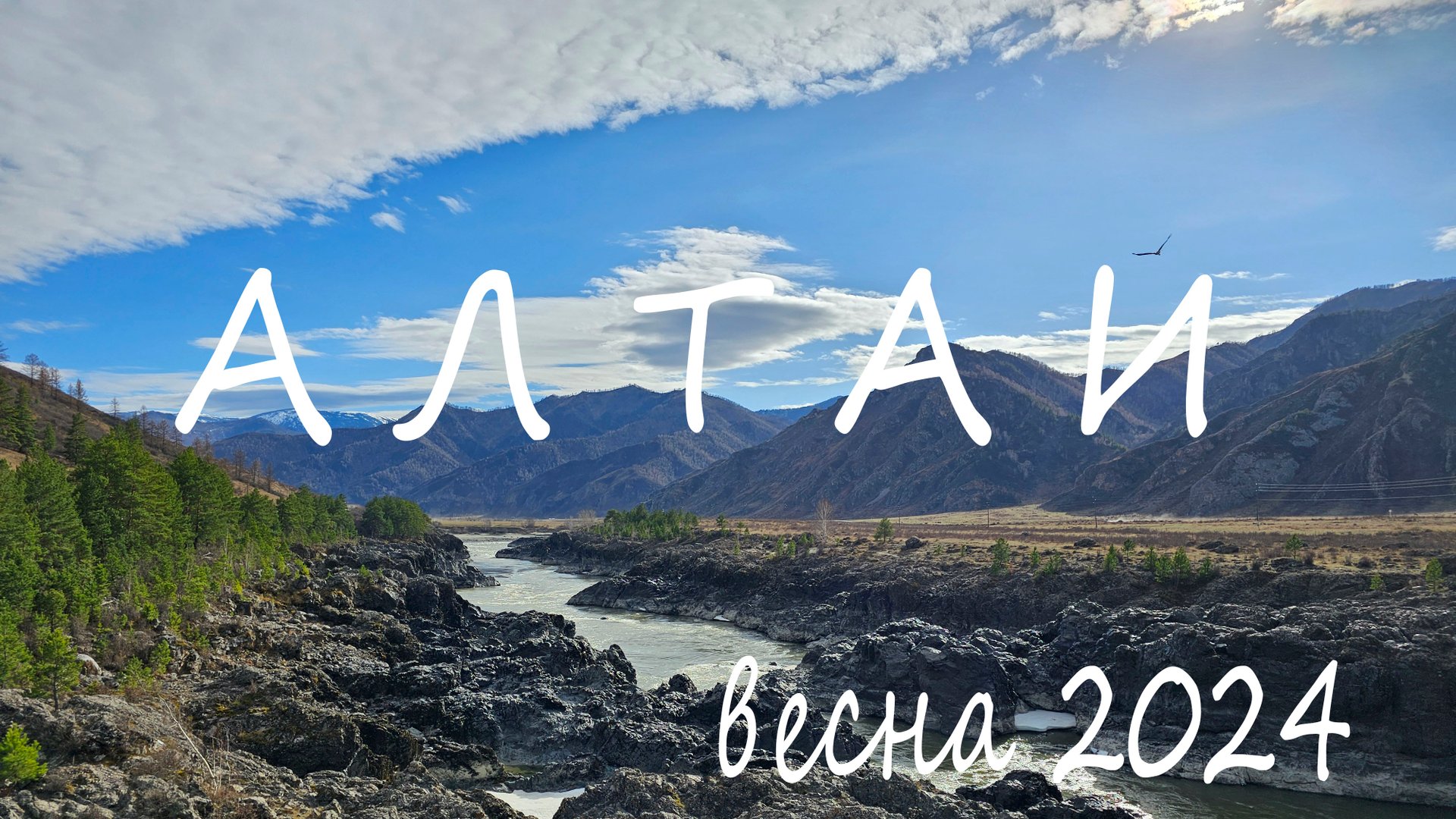 Алтай весна 2024. Манжерок. Бирюзовая Катунь. КЛЕЩИ! Ороктойский мост.