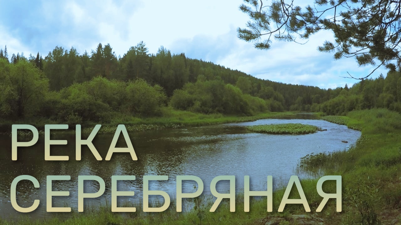 РЕКА СЕРЕБРЯНАЯ - "ПОЛОСАТАЯ" и "ЗУБАСТАЯ"! Поисковая рыбалка с другом.
