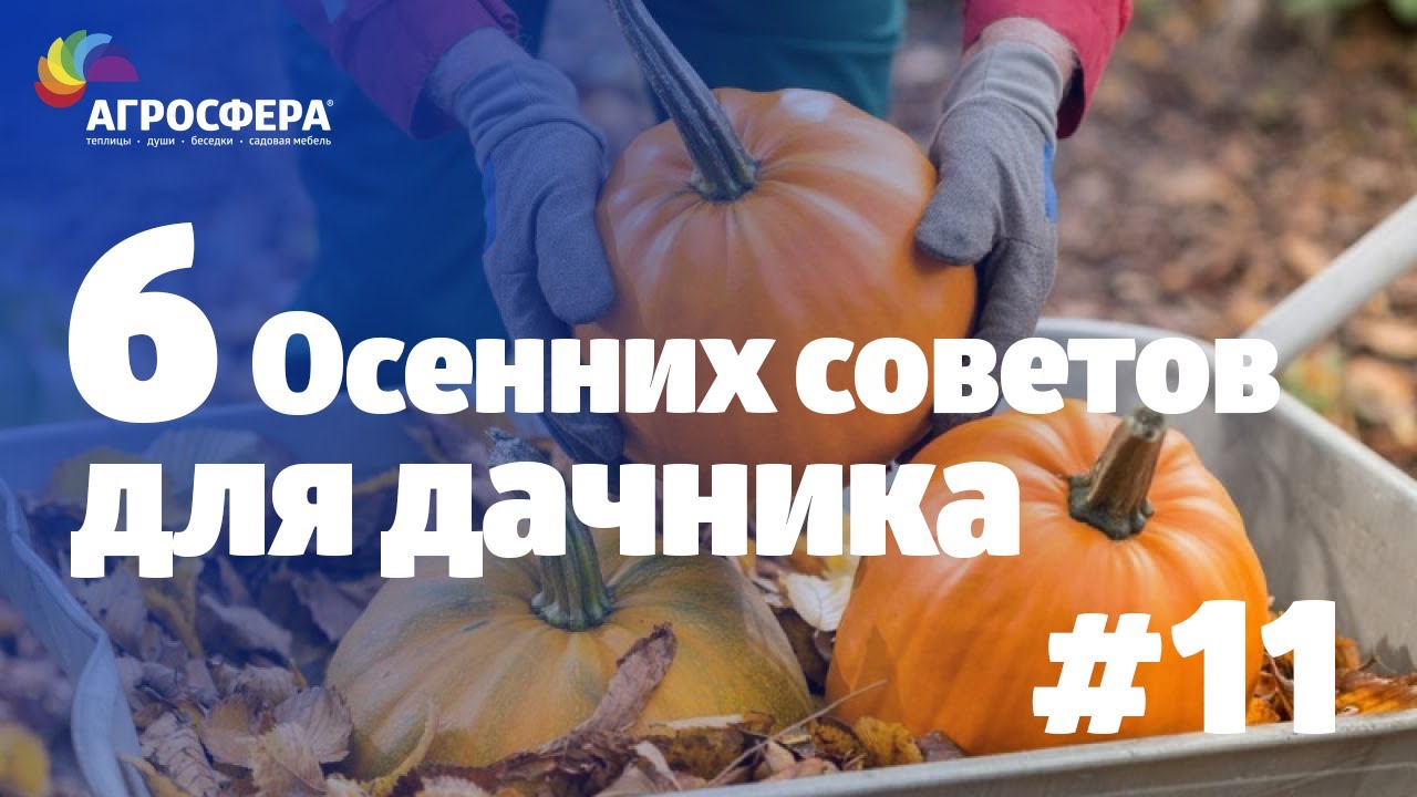 Советы для дачи и сада #11 - осенние рекомендации для садовода / агросфера.рф