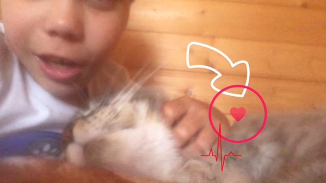 Милота 😻