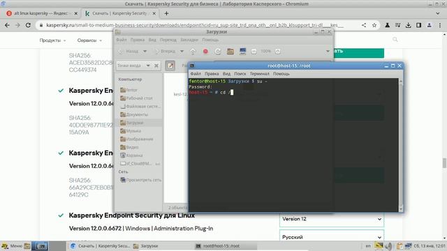 19 Установка антивируса Kaspersky Endpoint Security на AltLinux Workstation
