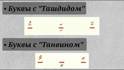 7/18. БУКВЫ С ТАШДИДОМ И ТАНВИНОМ В КОРАНЕ | ПРАВИЛА ЧТЕНИЯ КОРАНА | #ТАДЖВИД