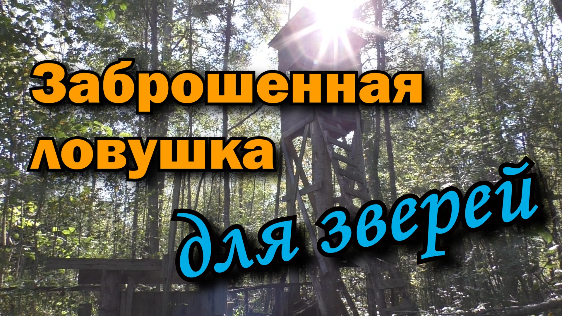 Заброшенная ловушка и загон для зверей