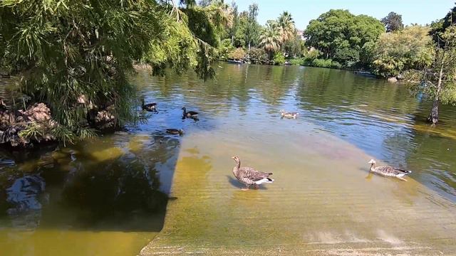 Барселона. Парк Цитадель. Улетаем.