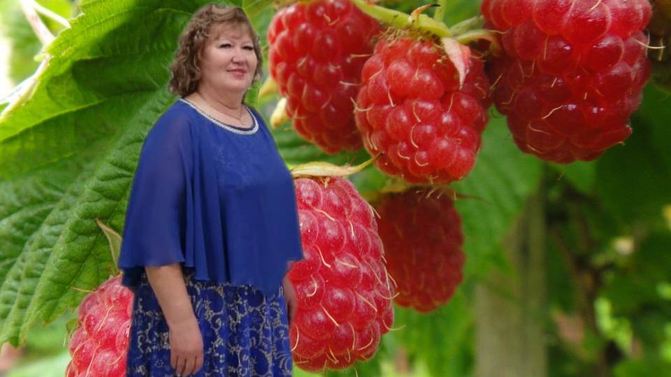 Любовь Костоглотова  "А малины слаще лишь его любовь" (муз. К.Дерр, сл. И.Скибиной)