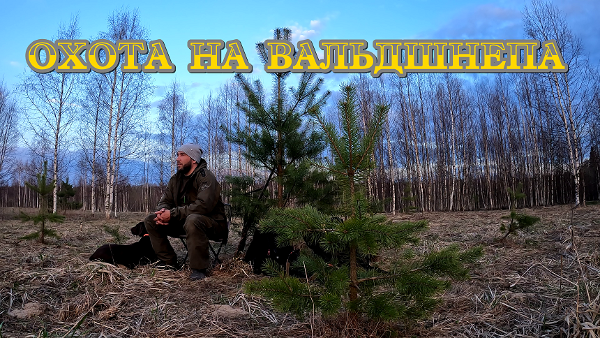 ОХОТА НА ВАЛЬДШНЕПА. 4К