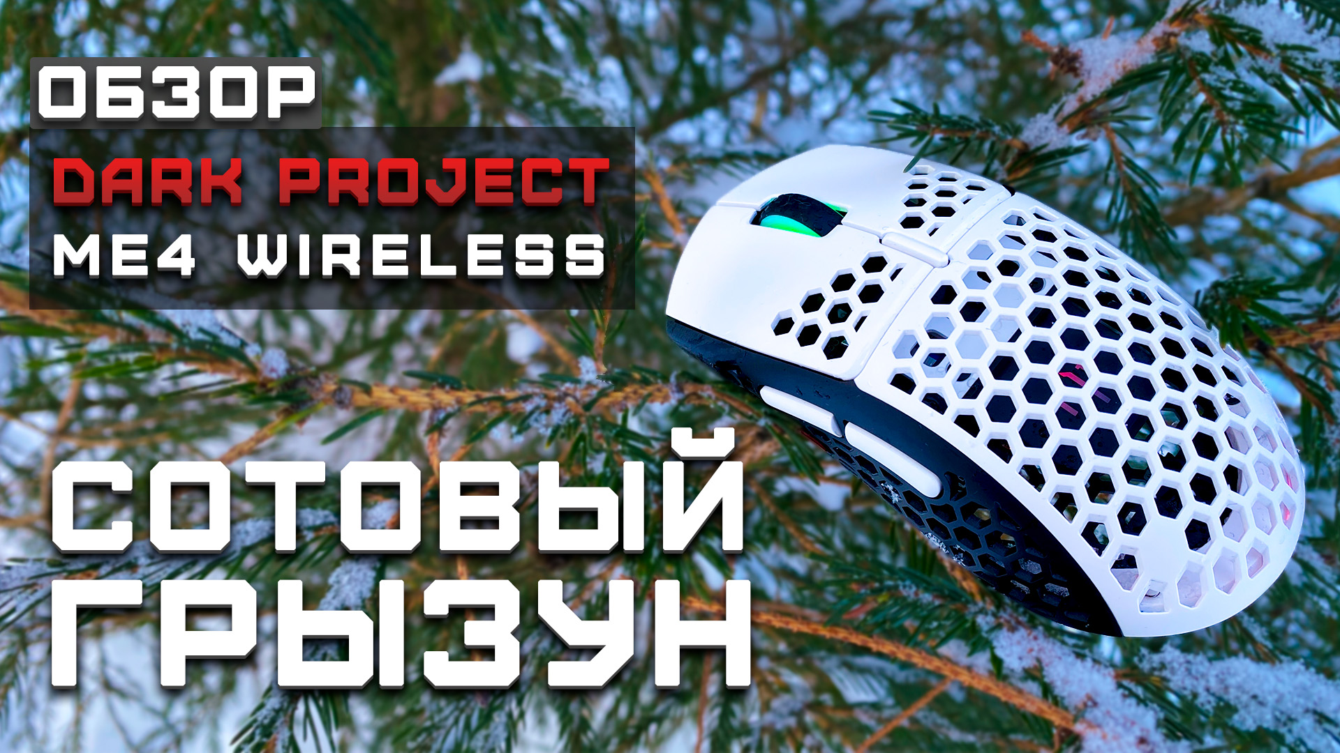 Беспроводная игровая мышка с сотами | Обзор Dark Project ME4