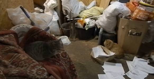 Дом для пенсионеров. Дрова источник тепла, январь 2021